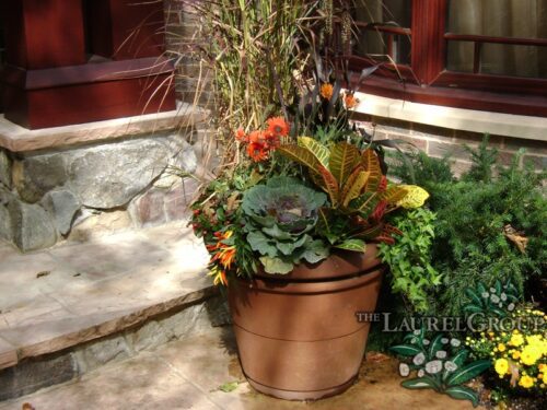 Autumn Displays - Laurel Group Fine Landscapes and Luxury Outdoor Living