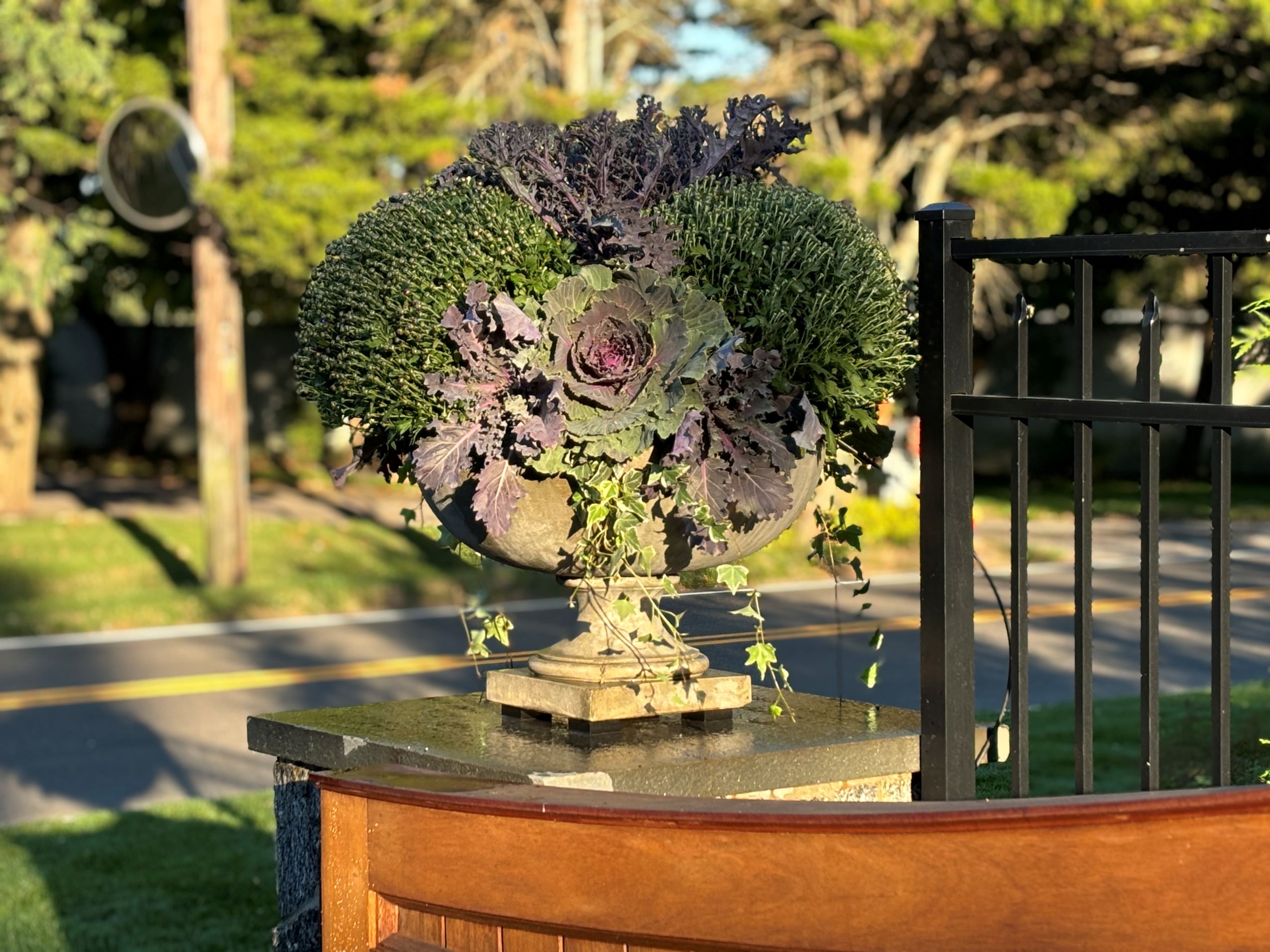 Autumn - Laurel Group Fine Landscapes and Luxury Outdoor Living