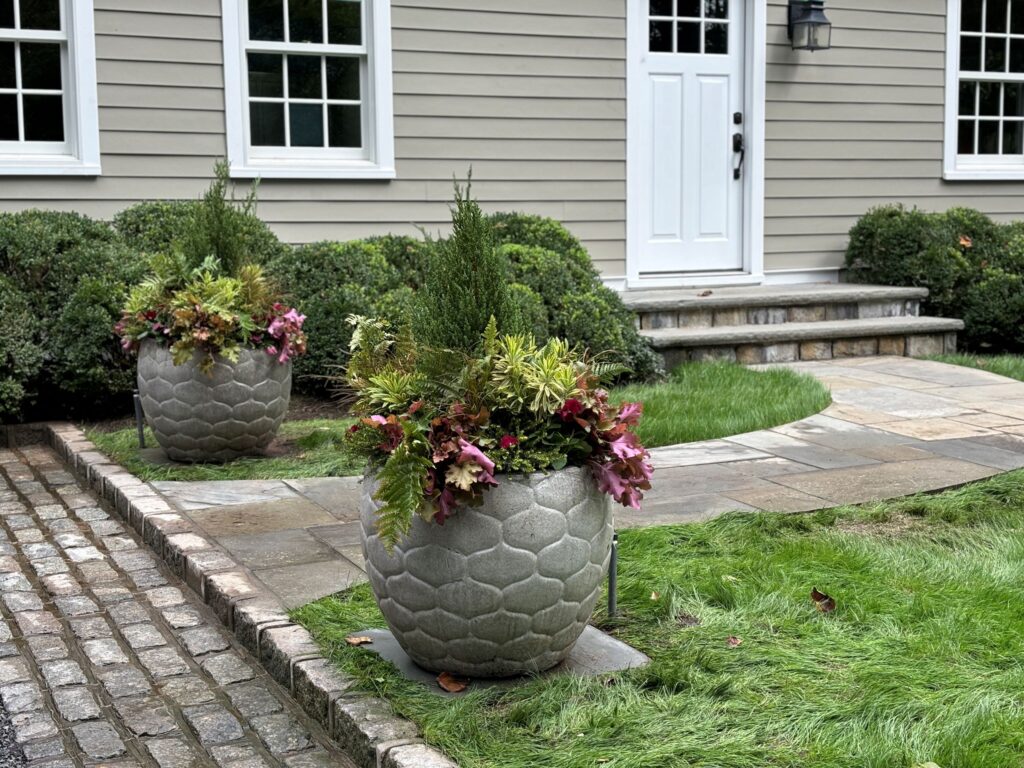 Autumn - Laurel Group Fine Landscapes and Luxury Outdoor Living