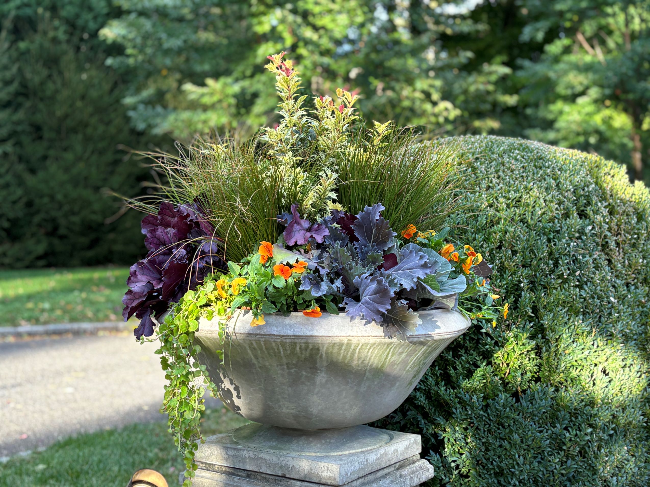 Autumn - Laurel Group Fine Landscapes and Luxury Outdoor Living