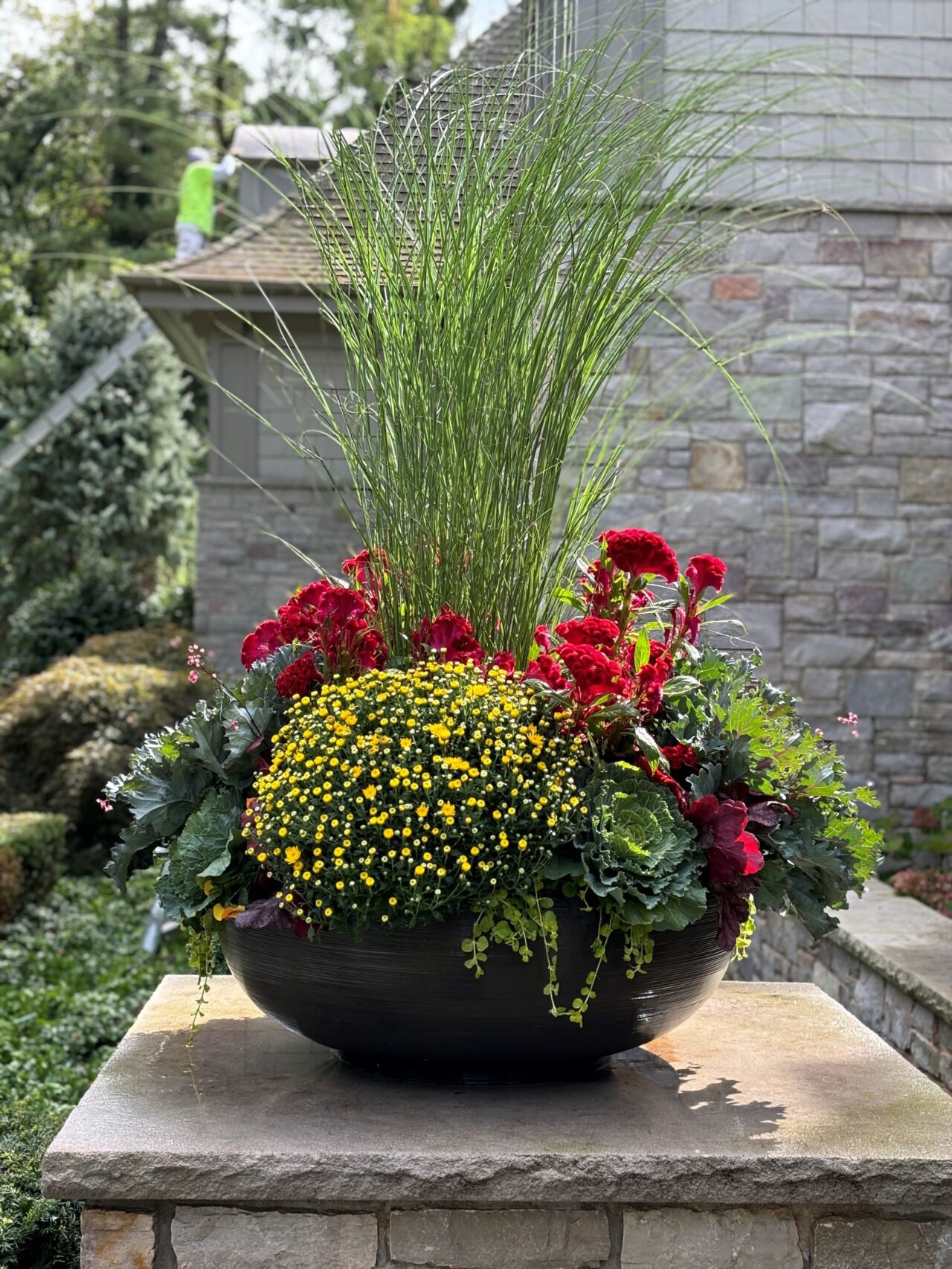 Autumn - Laurel Group Fine Landscapes and Luxury Outdoor Living