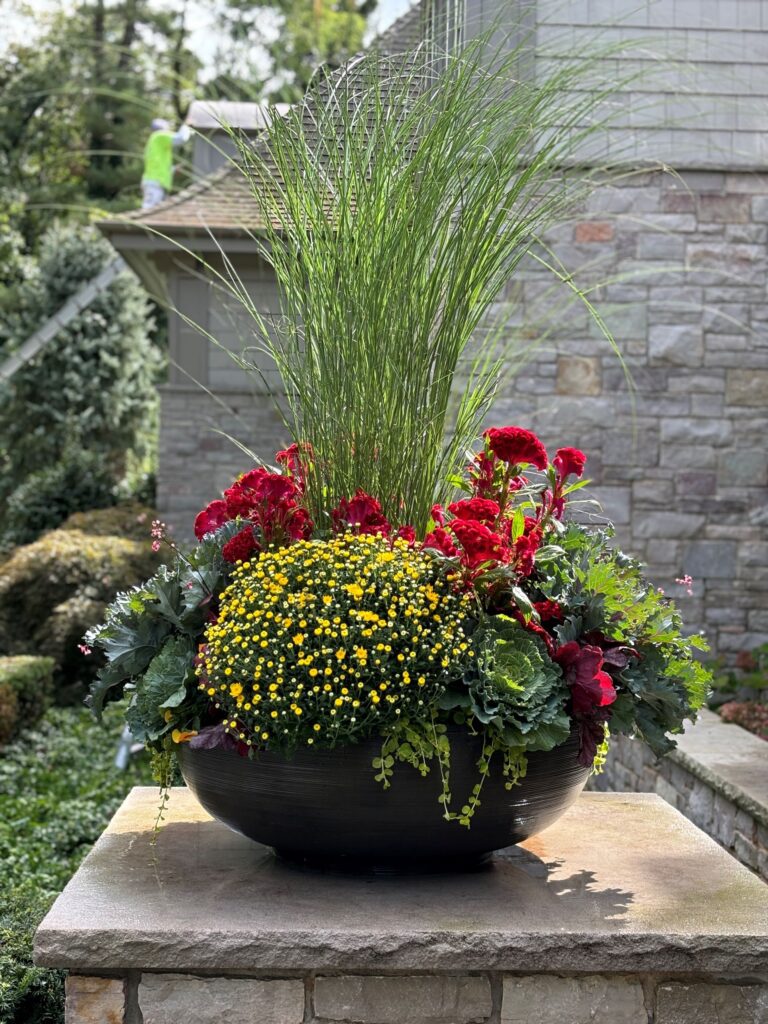 Autumn - Laurel Group Fine Landscapes and Luxury Outdoor Living