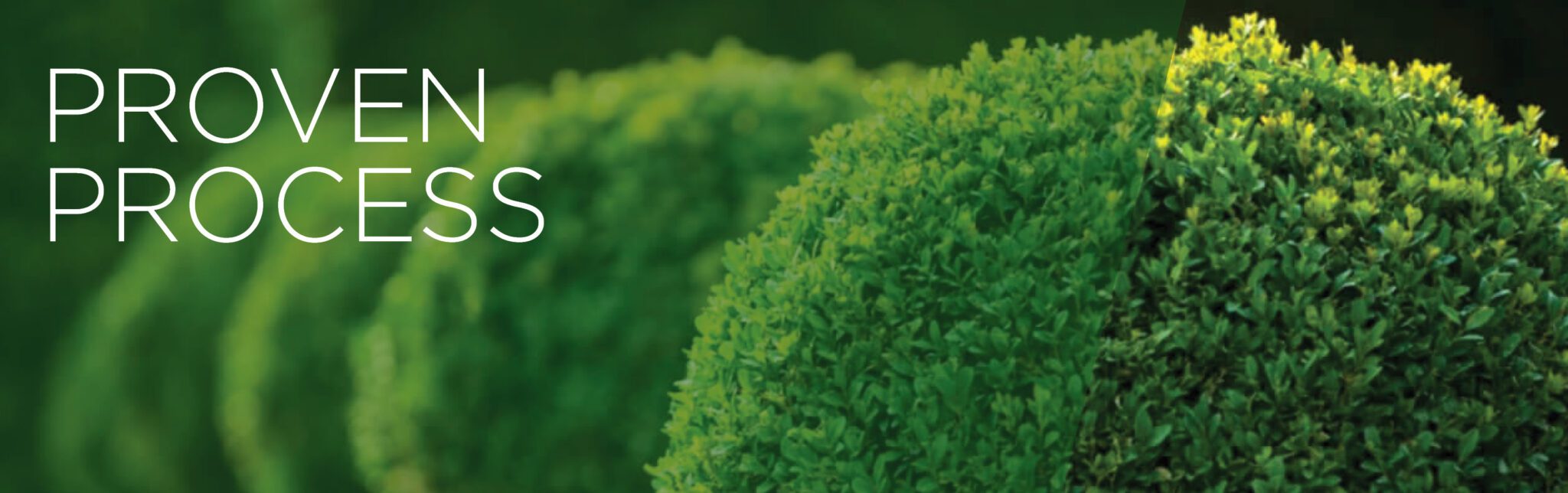 Design Build Proven Process - Laurel Group Fine Landscapes and Luxury ...